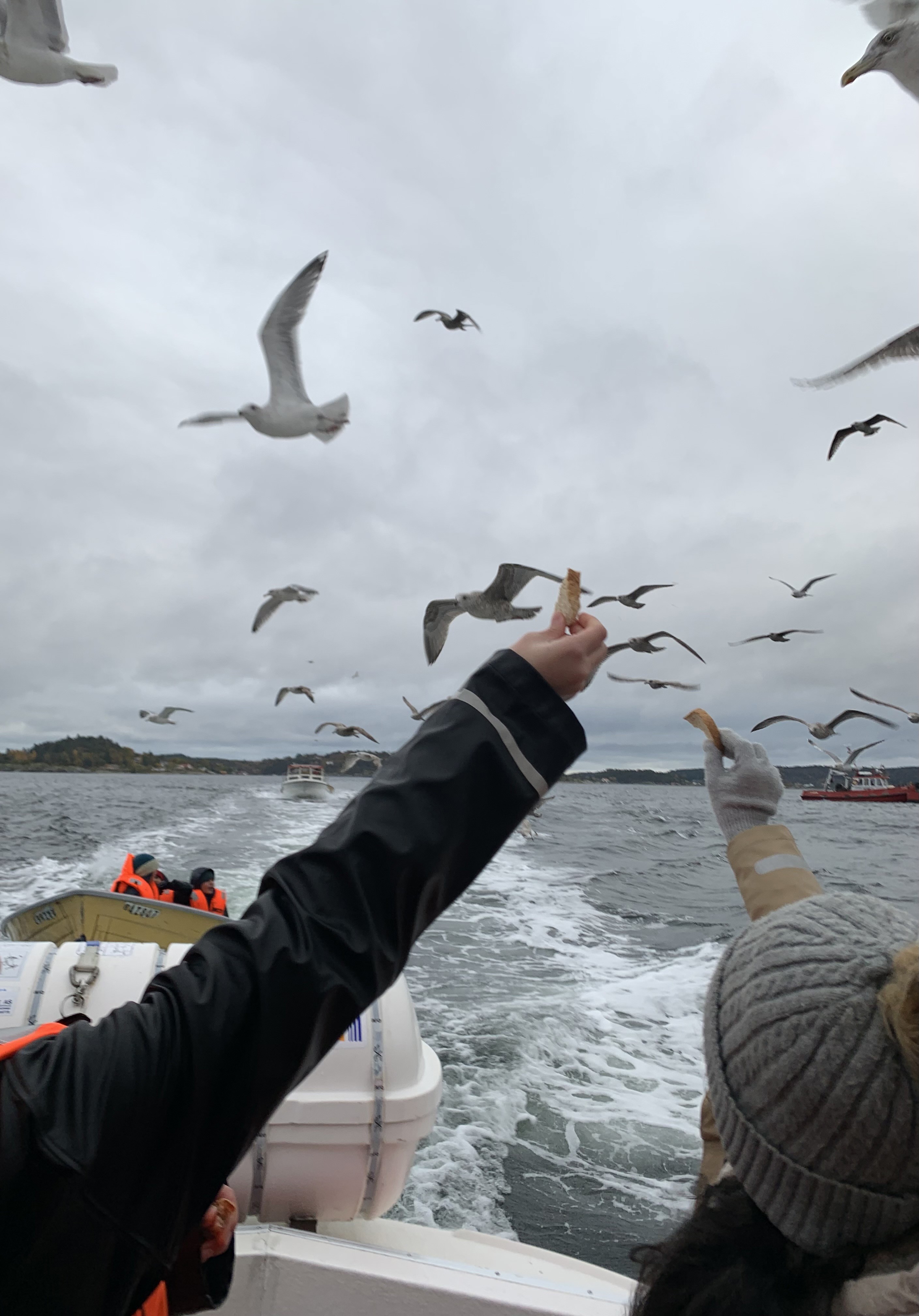 Flott uke på leirskolen!